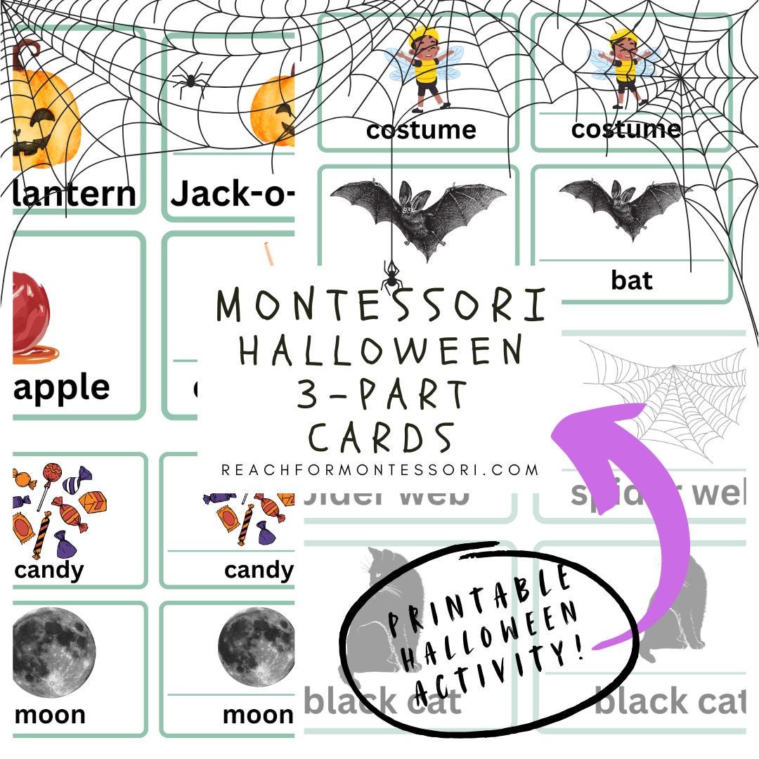 Halloween Montessori 3-part Cards Printable - Etsy