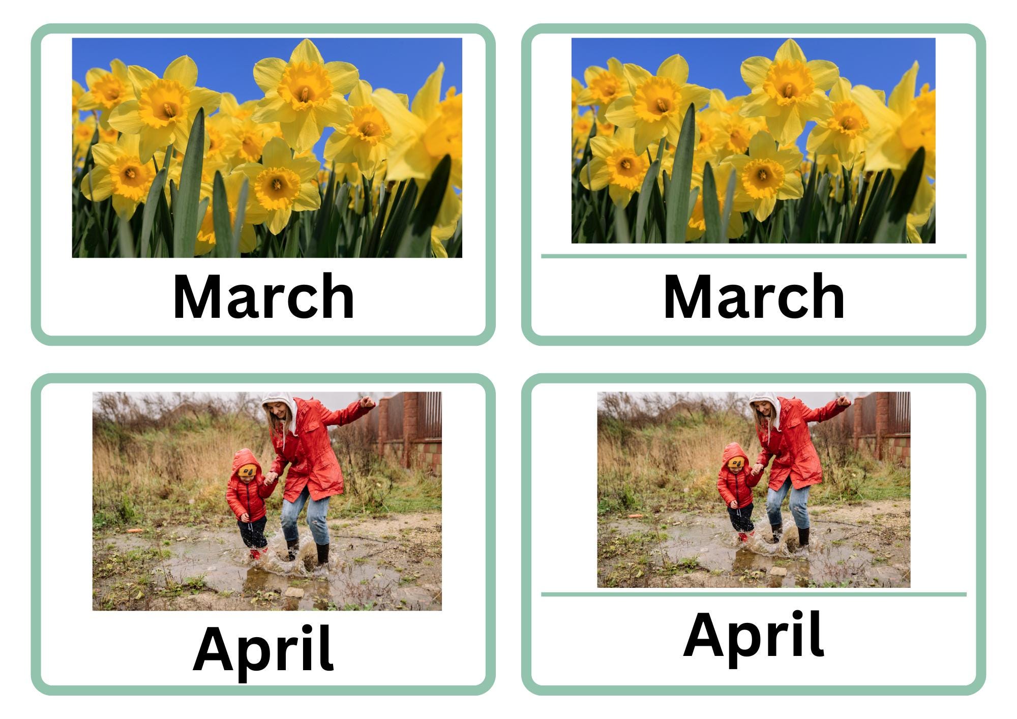 Months of the Year Montessori 3-part Cards Printable - Etsy
