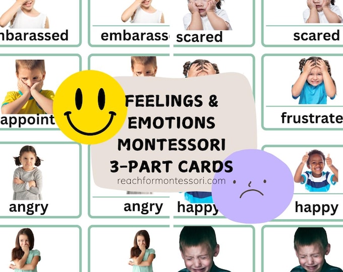 FEELINGS & EMOTIONS Photo Flashcards, Montessori Style 3 Part Cards ...