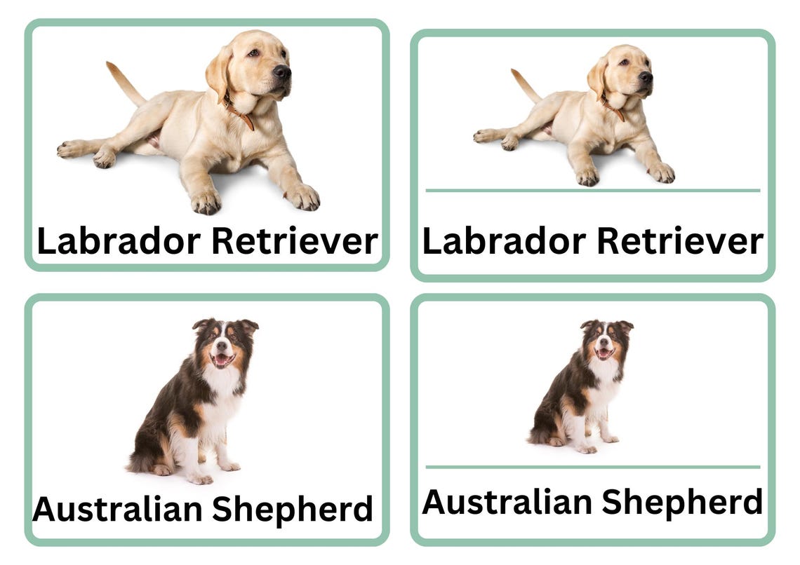 Dog Breeds Montessori 3-part Cards Printable - Etsy