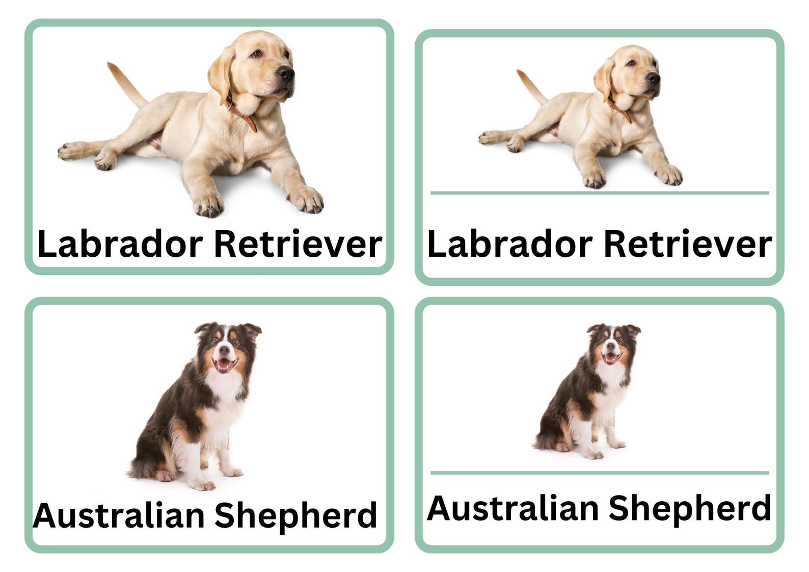 Dog Breeds Montessori 3-part Cards Printable - Etsy