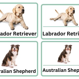 Dog Breeds Montessori 3-part Cards Printable - Etsy