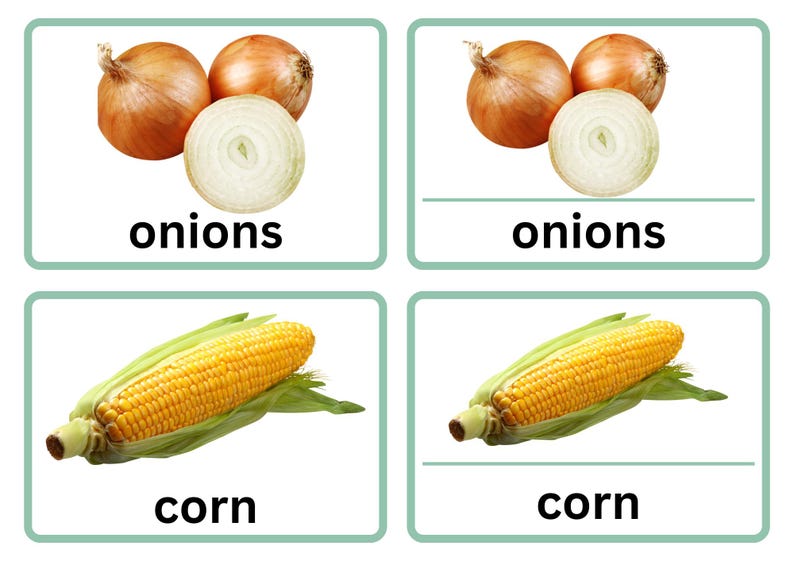 Vegetables Montessori 3-part Cards Printable - Etsy