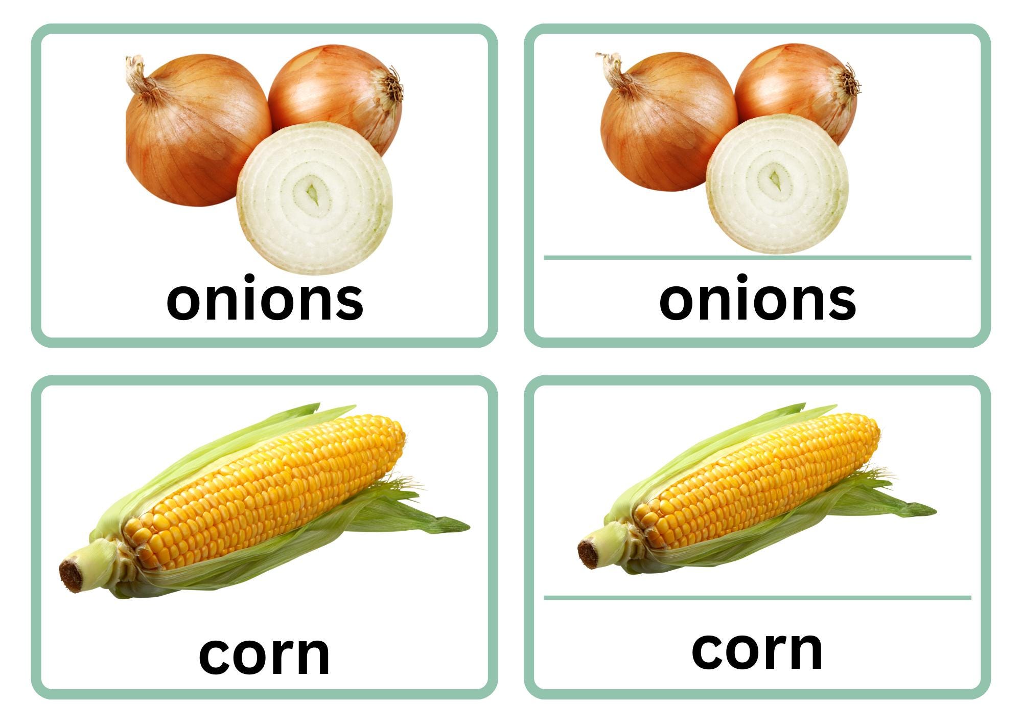 Vegetables Montessori 3-part Cards Printable - Etsy