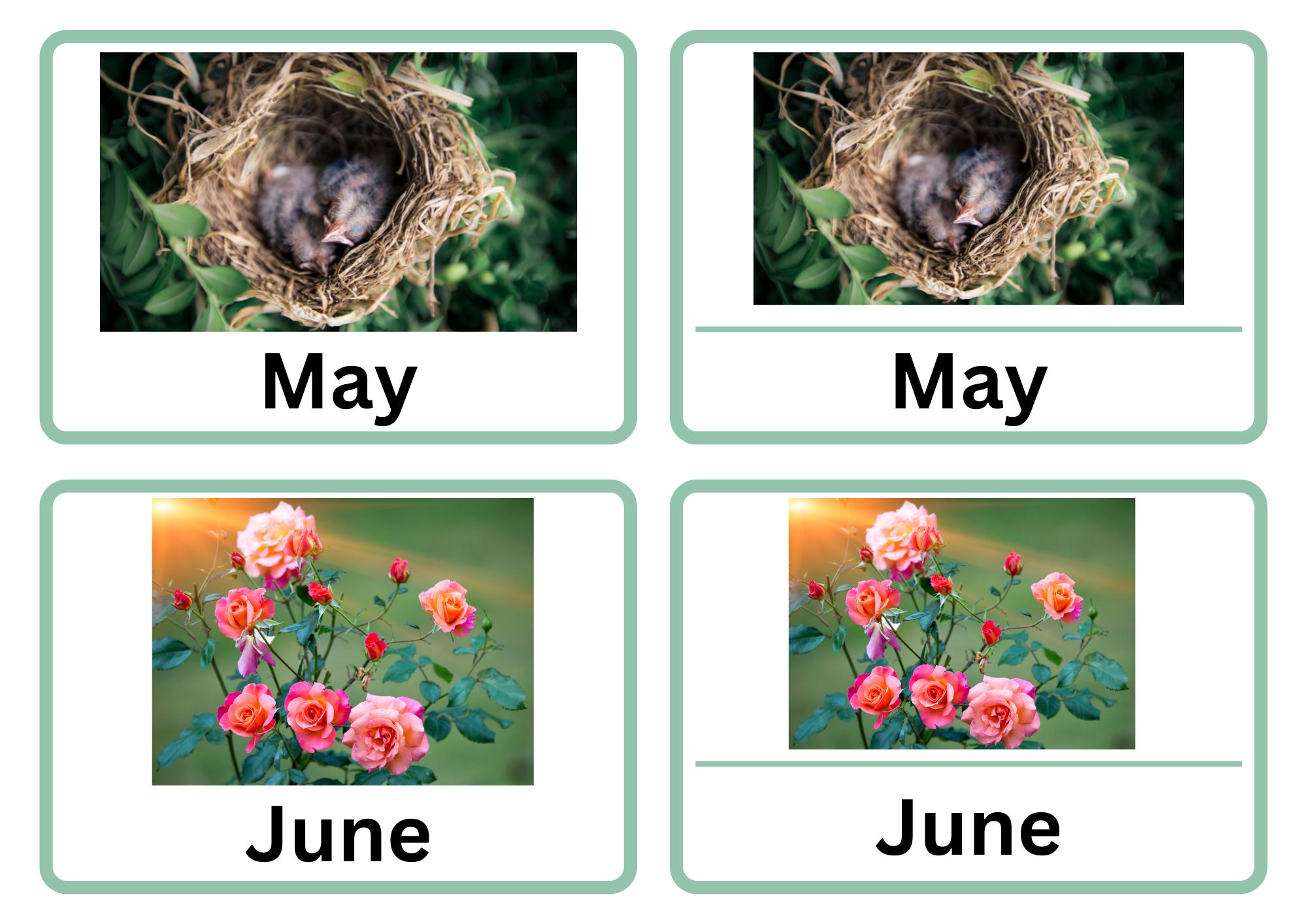 Months of the Year Montessori 3-part Cards Printable - Etsy