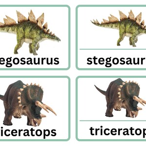 Dinosaurs Montessori 3-part Cards Printable - Etsy