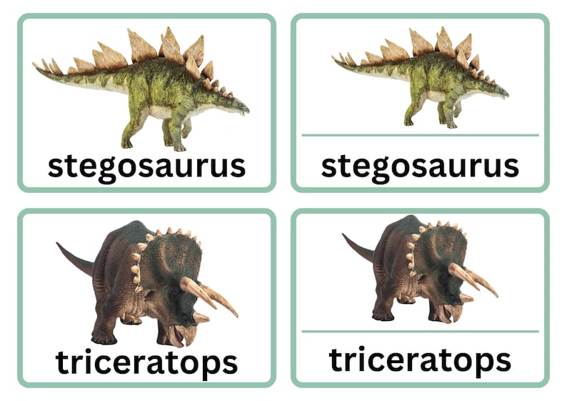 Dinosaurs Montessori 3-part Cards Printable - Etsy