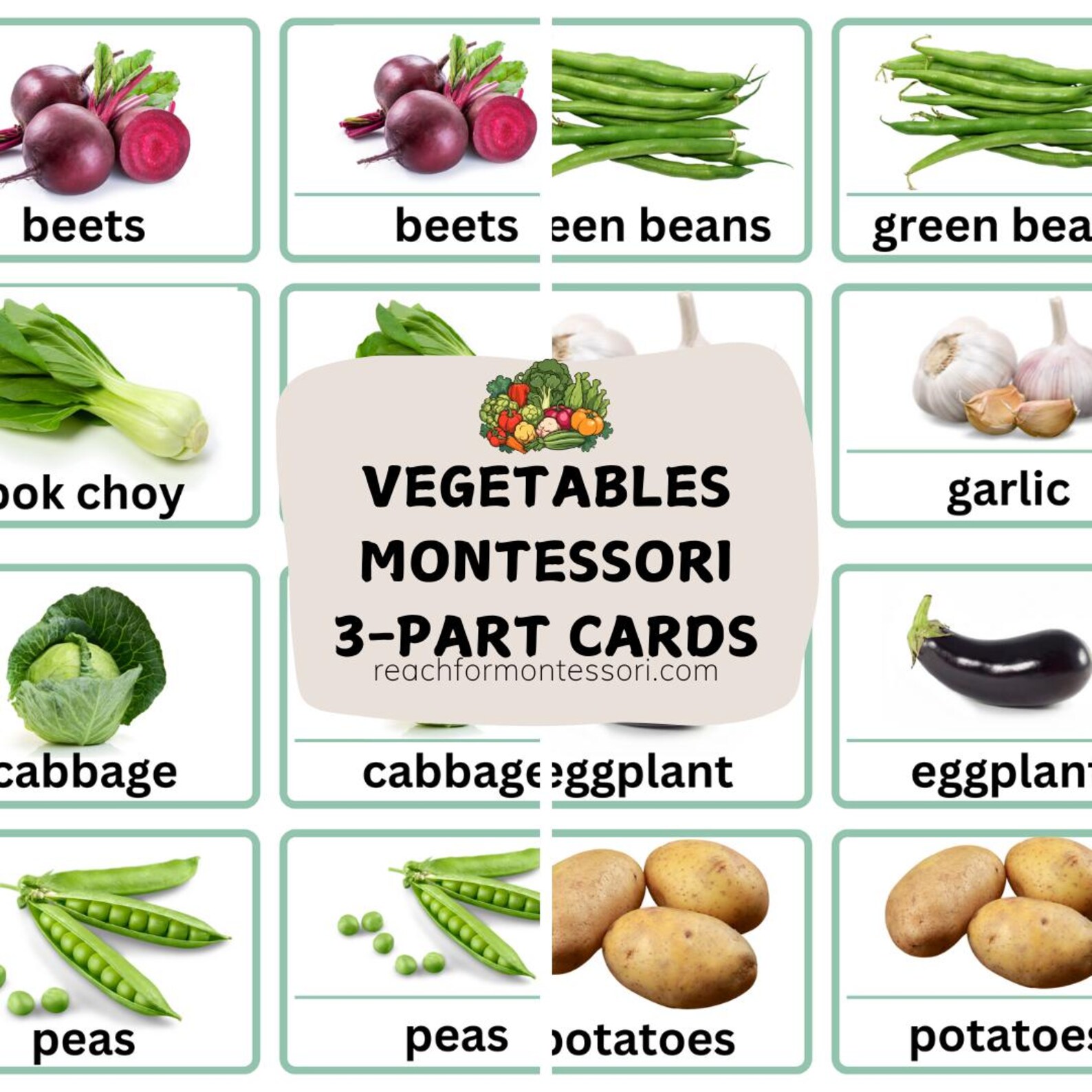 Vegetables Montessori 3-part Cards Printable - Etsy
