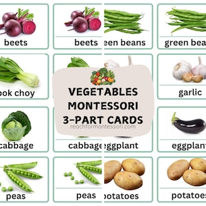 Vegetables Montessori 3-part Cards Printable - Etsy