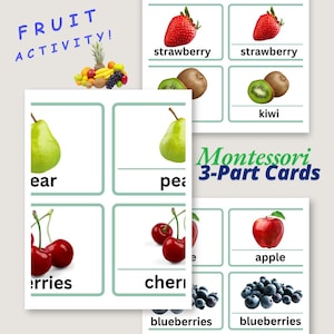 Fruit Montessori 3-part Cards Printable - Etsy