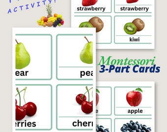 Montessori 3 Part Cards/ Fruit Cards/ Early Reading - Etsy
