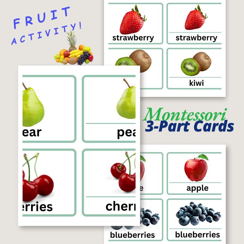 Fruit Montessori 3-part Cards Printable - Etsy