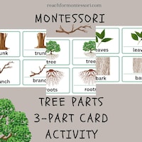 Trees Diagram Colouring in Sheet - Educational Tree Printable - Etsy UK