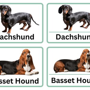 Dog Breeds Montessori 3-part Cards Printable - Etsy