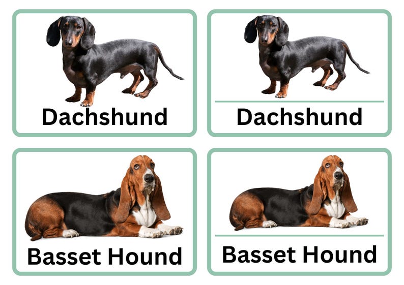 Dog Breeds Montessori 3-part Cards Printable - Etsy