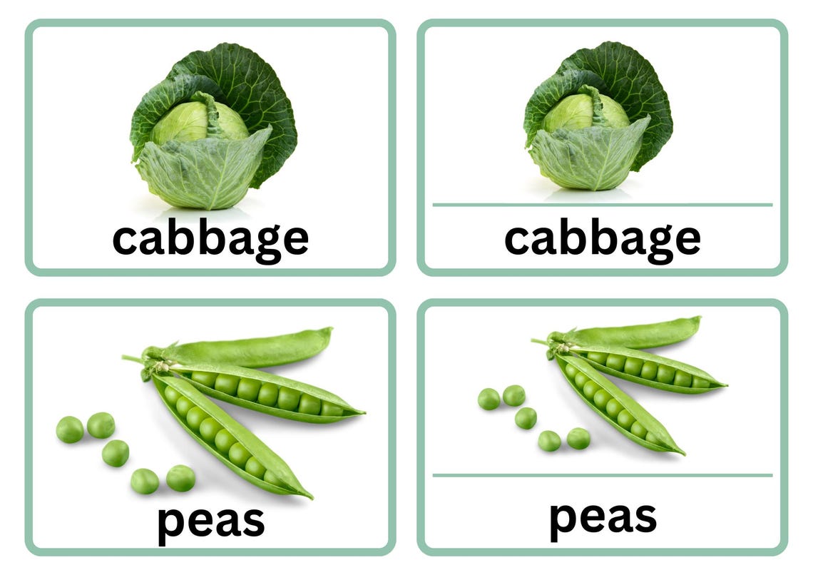 Vegetables Montessori 3-part Cards Printable - Etsy