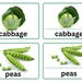 Vegetables Montessori 3-part Cards Printable - Etsy