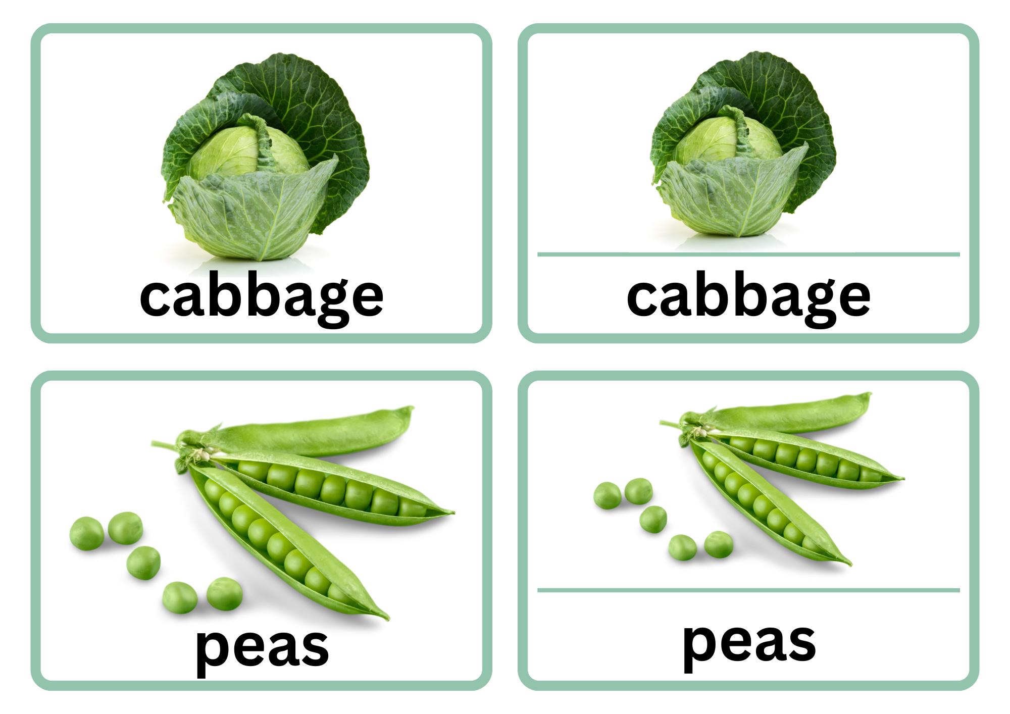 Vegetables Montessori 3-part Cards Printable - Etsy