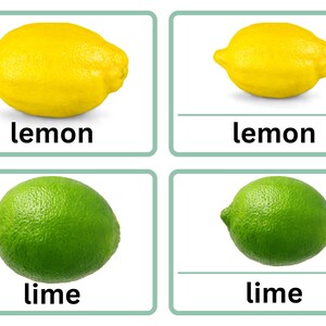 Fruit Montessori 3-part Cards Printable - Etsy