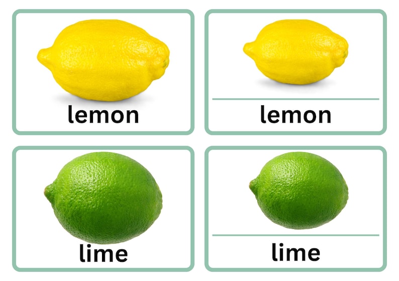 Fruit Montessori 3-part Cards Printable - Etsy