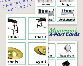 PERCUSSION INSTRUMENTS | Nomenclature / 3-part Cards • Realistic Photos ...