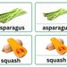 Vegetables Montessori 3-part Cards Printable - Etsy