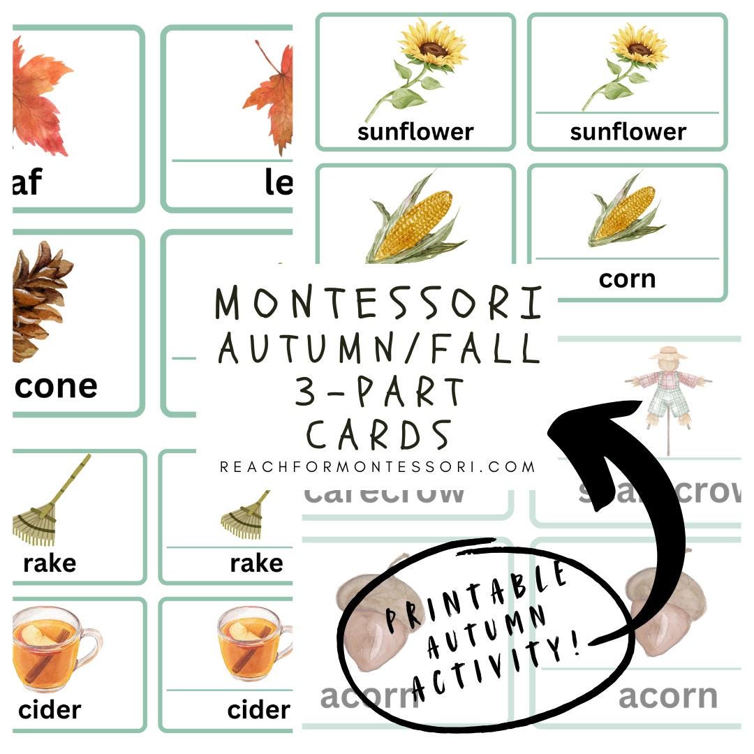 Autumn/fall Montessori 3-part Cards Printable - Etsy