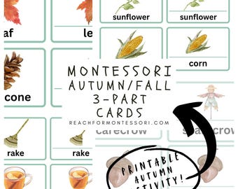 Autumn Montessori 3 Part Cards // Autumn Collection // Preschool ...