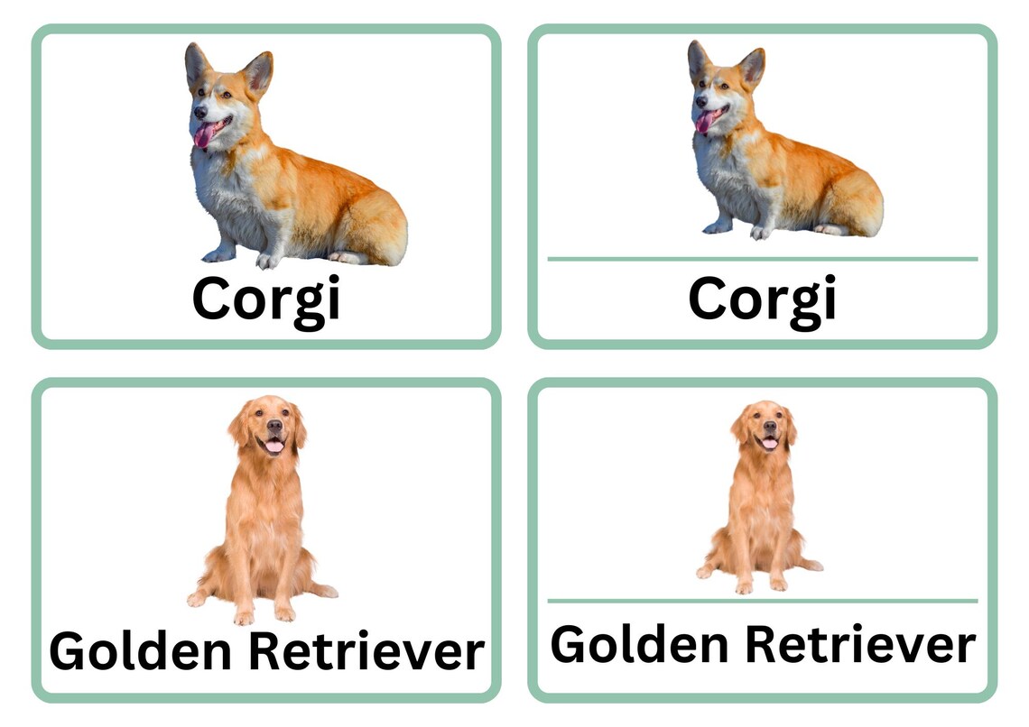 Dog Breeds Montessori 3-part Cards Printable - Etsy