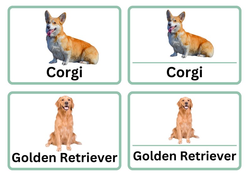 Dog Breeds Montessori 3-part Cards Printable - Etsy