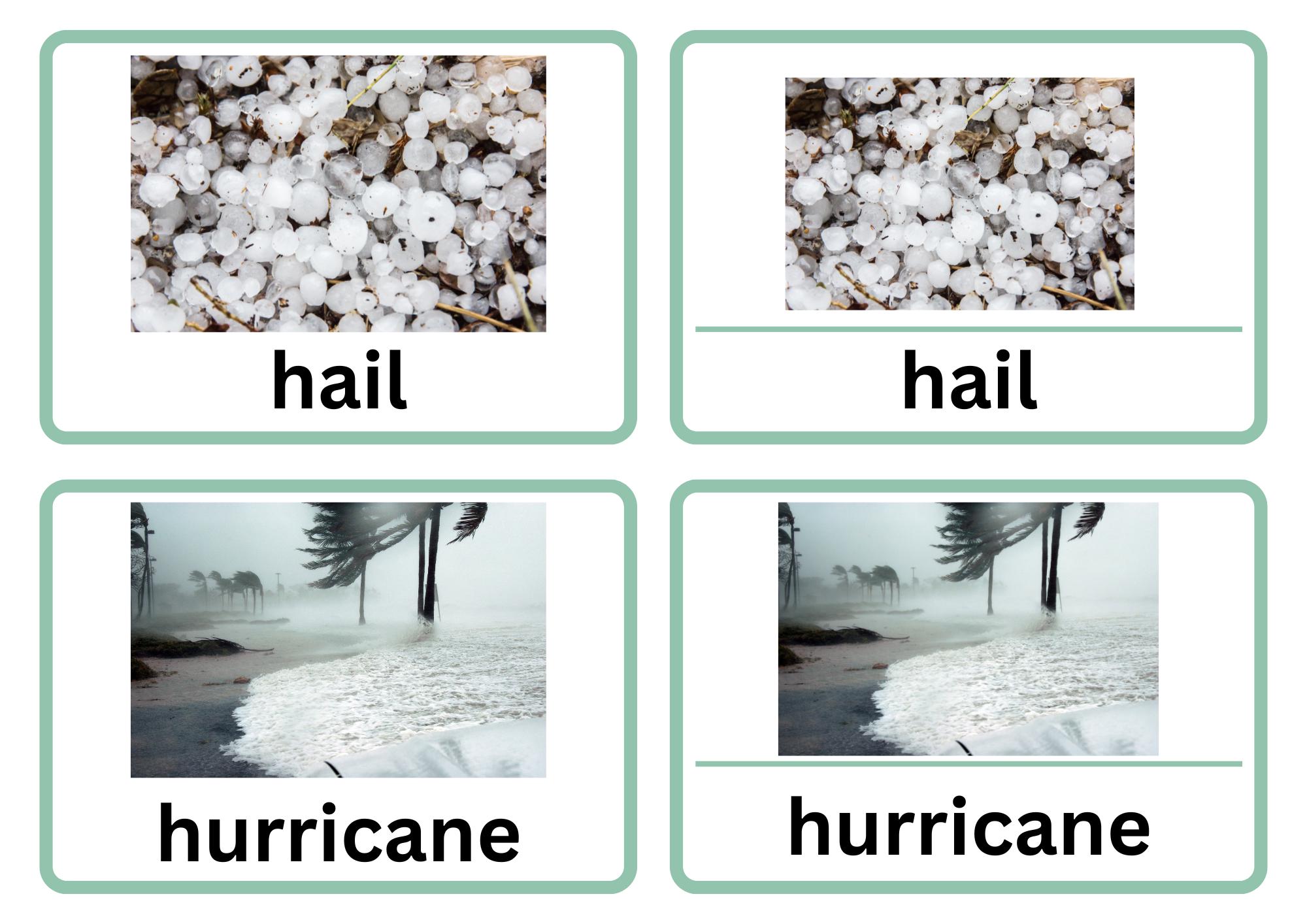 Weather Montessori 3-part Cards Printable - Etsy