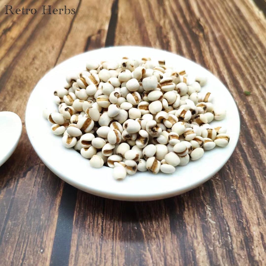 Retro Herbs Coix Seeds Natural Healthy Rice Traditional Herbs - Etsy