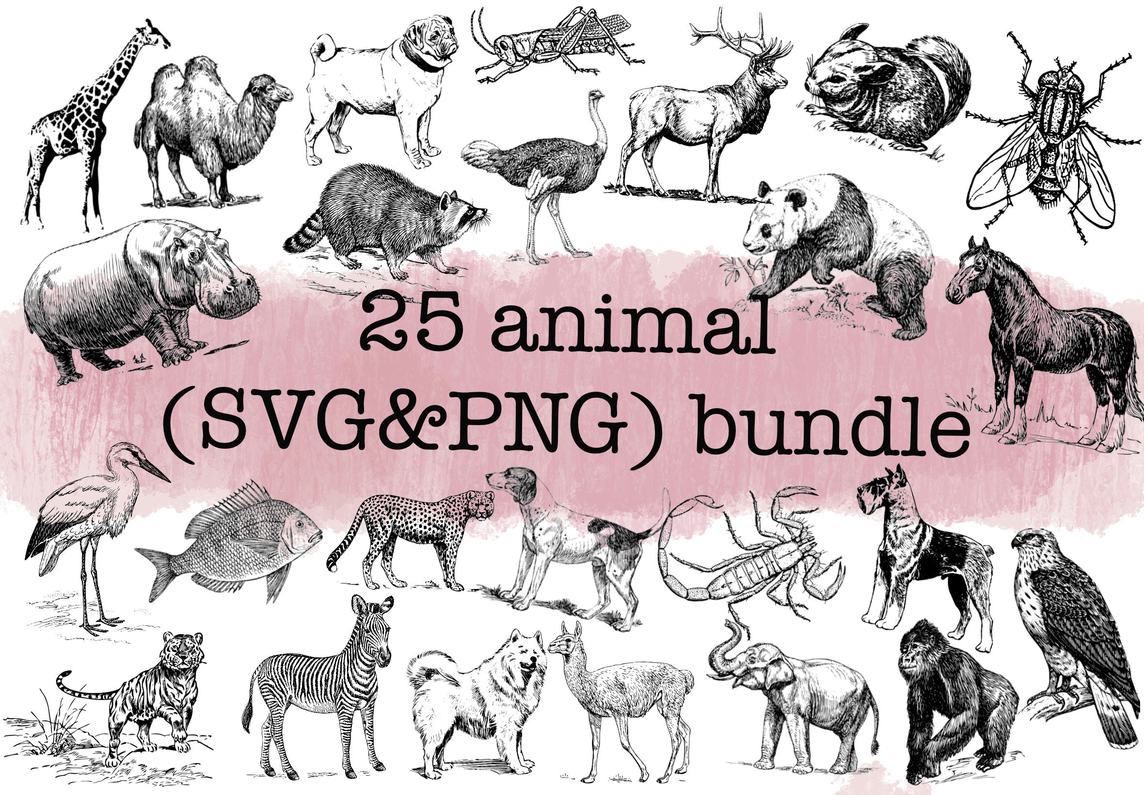 25 Animal SVG, PNG Bundle, Digital Download #1 - Etsy