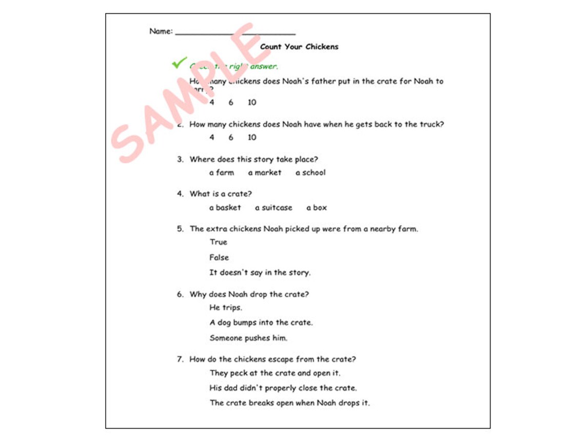 2nd Grade Reading Comprehension Passages and Questions - Etsy
