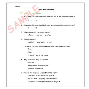 2nd Grade Reading Comprehension Passages and Questions - Etsy