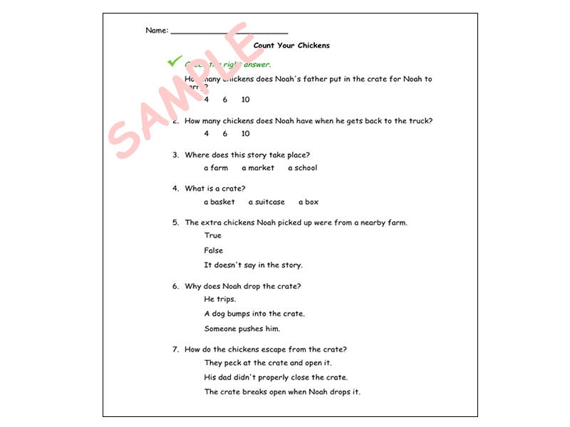 2nd Grade Reading Comprehension Passages and Questions - Etsy