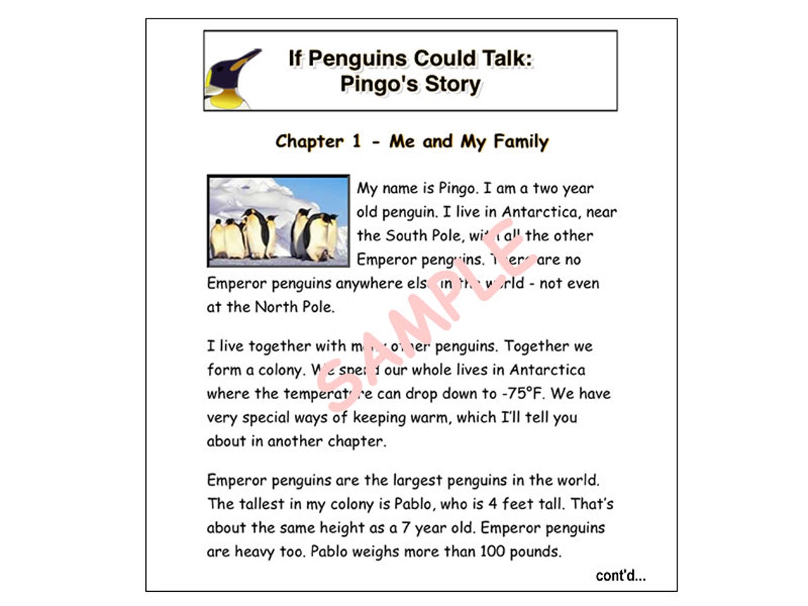 Penguins! 3rd Grade Reading Comprehension and Worksheets - Etsy