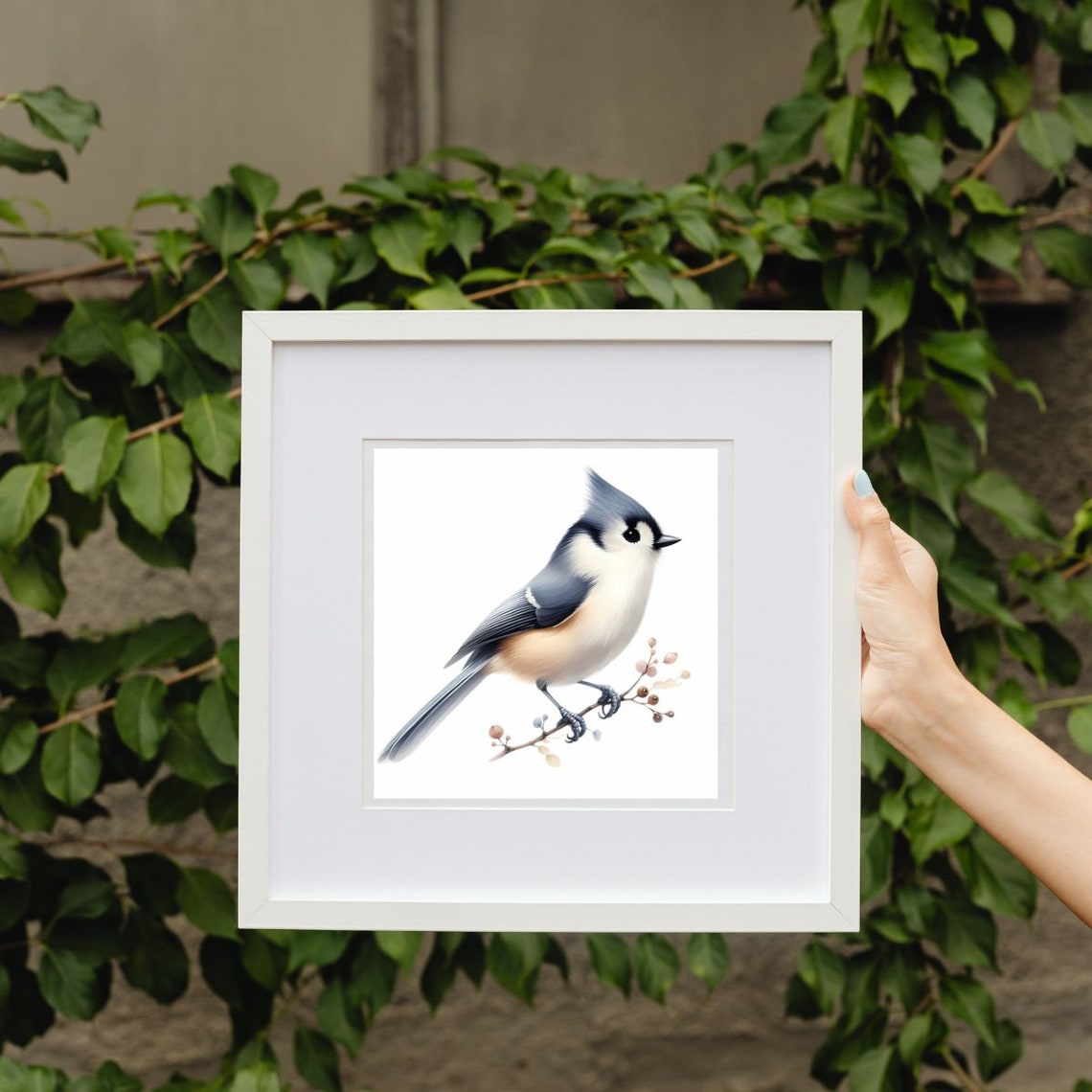 Digital Downloadable Watercolor Style Print of Tufted Titmouse Bird PNG ...