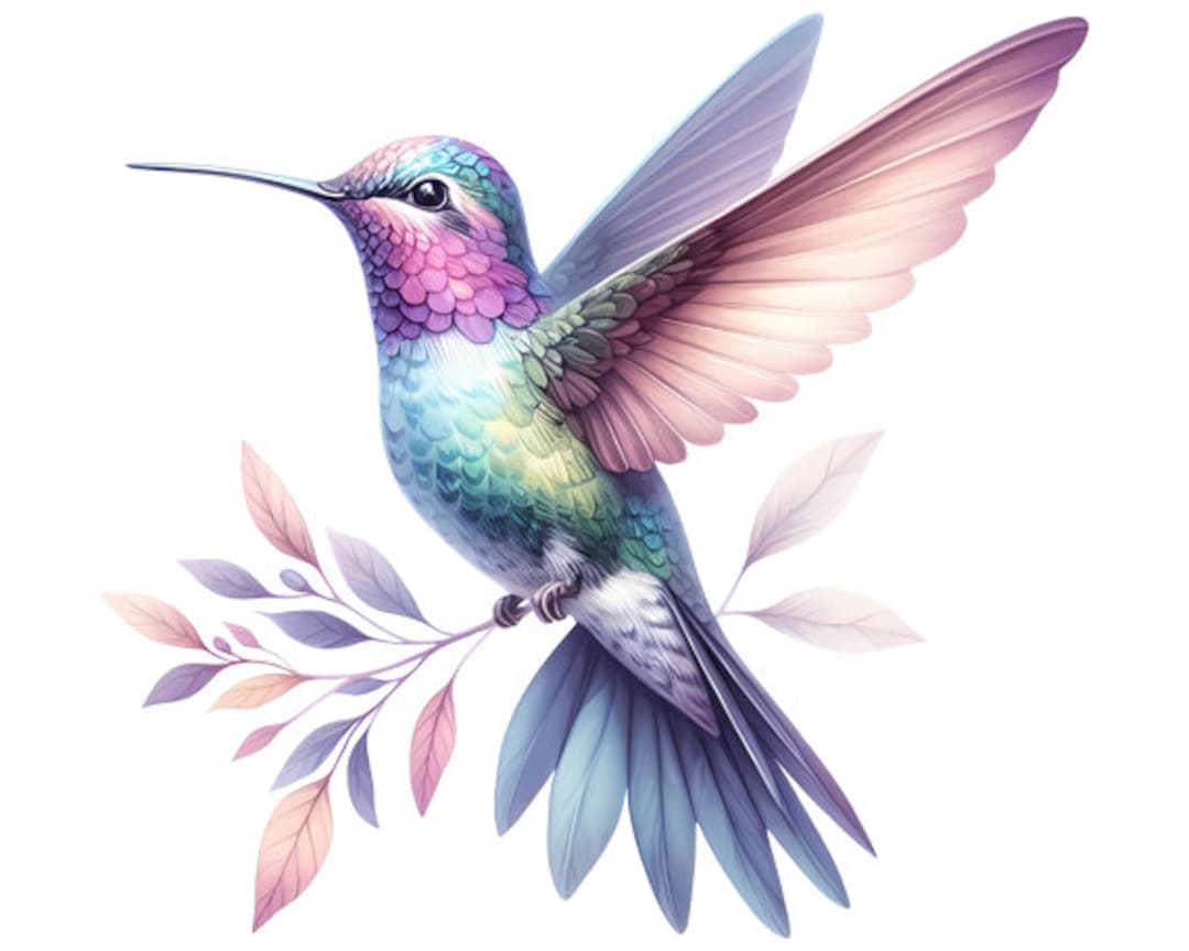 Digital Downloadable Watercolor Print Hummingbird High Resolution PNG ...