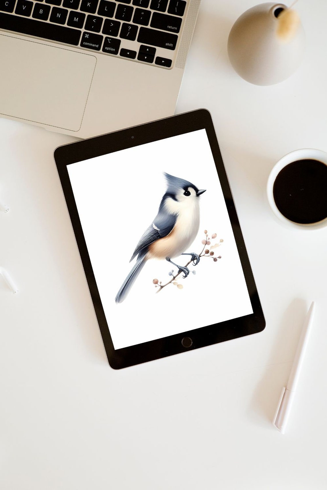 Digital Downloadable Watercolor Style Print of Tufted Titmouse Bird PNG ...