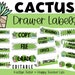 Cactus Plant Themed Classroom Decor Motivational Signs, Motivational ...