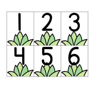 Cactus Plant Themed Classroom Decor Calendar and Weather | Classroom ...