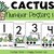 Cactus Plant Themed Classroom Decor Welcome Sign, Welcome Banner ...