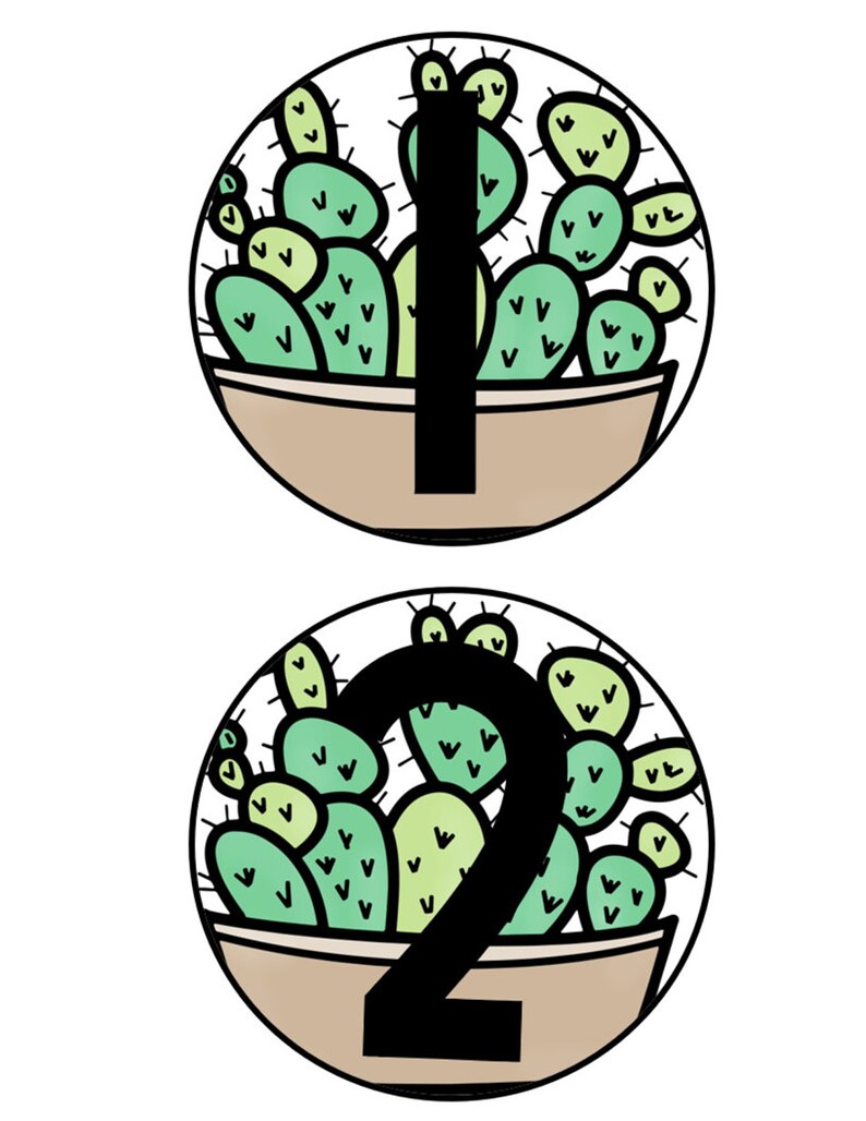 Cactus Plant Themed Student Numbers 1-30 - Etsy