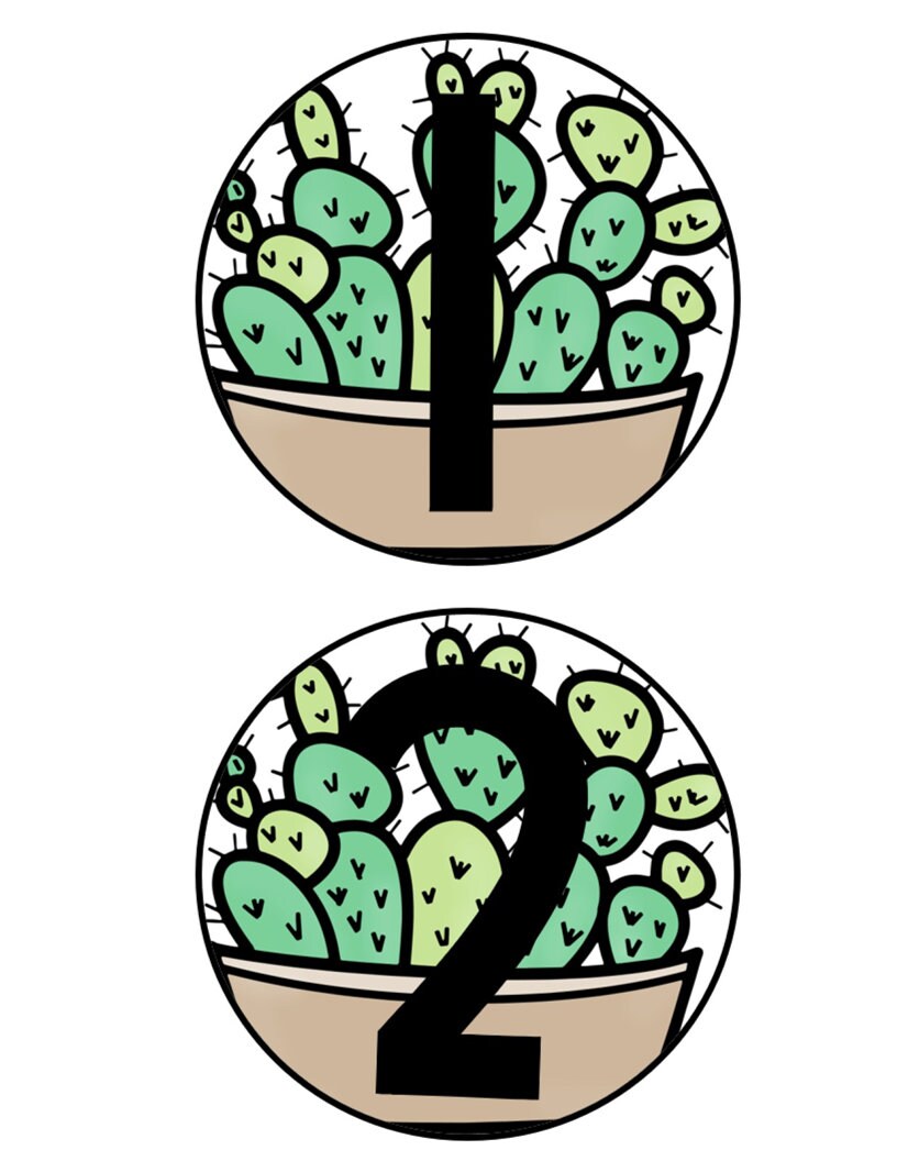 Cactus Plant Themed Student Numbers 1-30 - Etsy