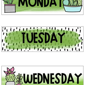 Cactus Plant Themed Editable Drawer Labels for the Classroom - Etsy