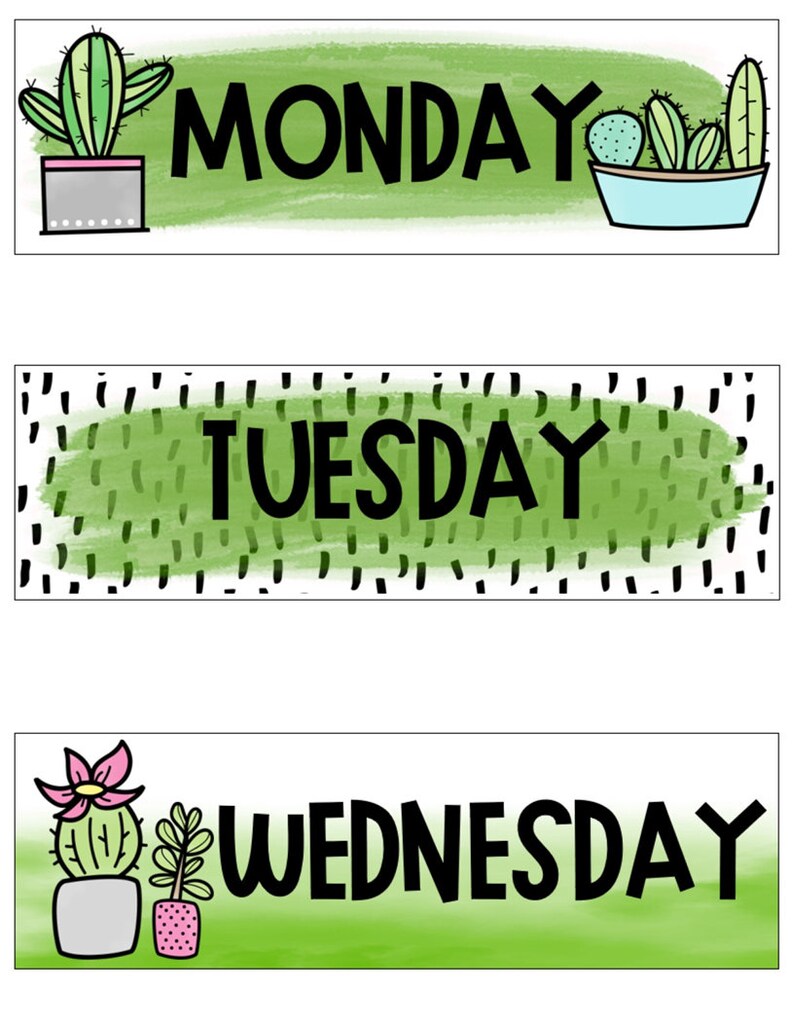 Cactus Plant Themed Editable Drawer Labels for the Classroom - Etsy