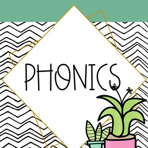 Cactus Plant Themed Classroom Decor, EDITABLE Teacher Binder, Binder ...