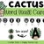 Cactus Plant Themed Classroom Decor Motivational Signs, Motivational ...