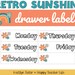 Retro Groovy Themed Editable Drawer Labels | 3-drawer Bins | Classroom ...